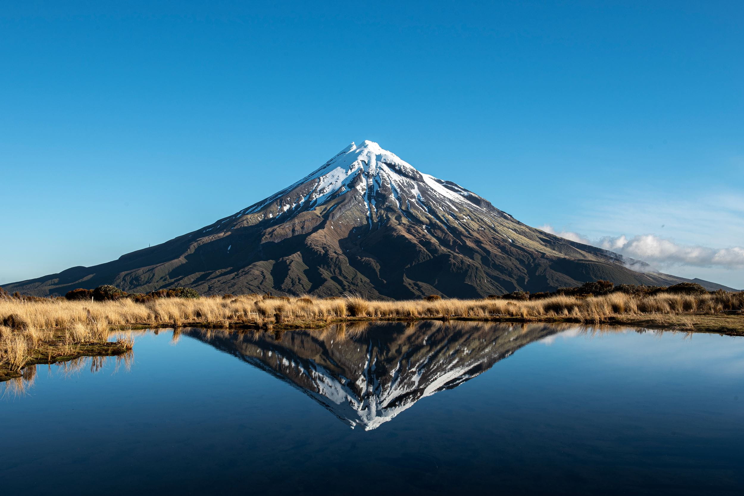 News and blog | Creative New Zealand