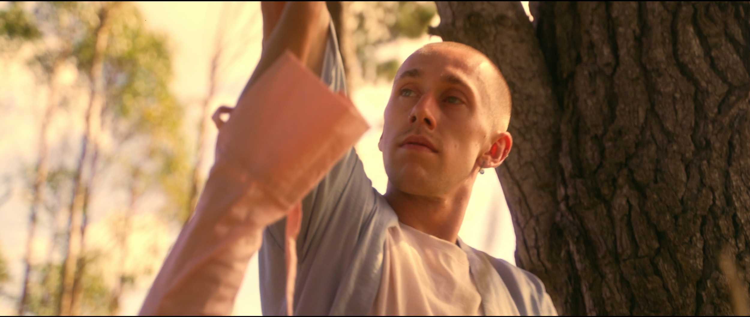 News and blog | Creative New Zealand