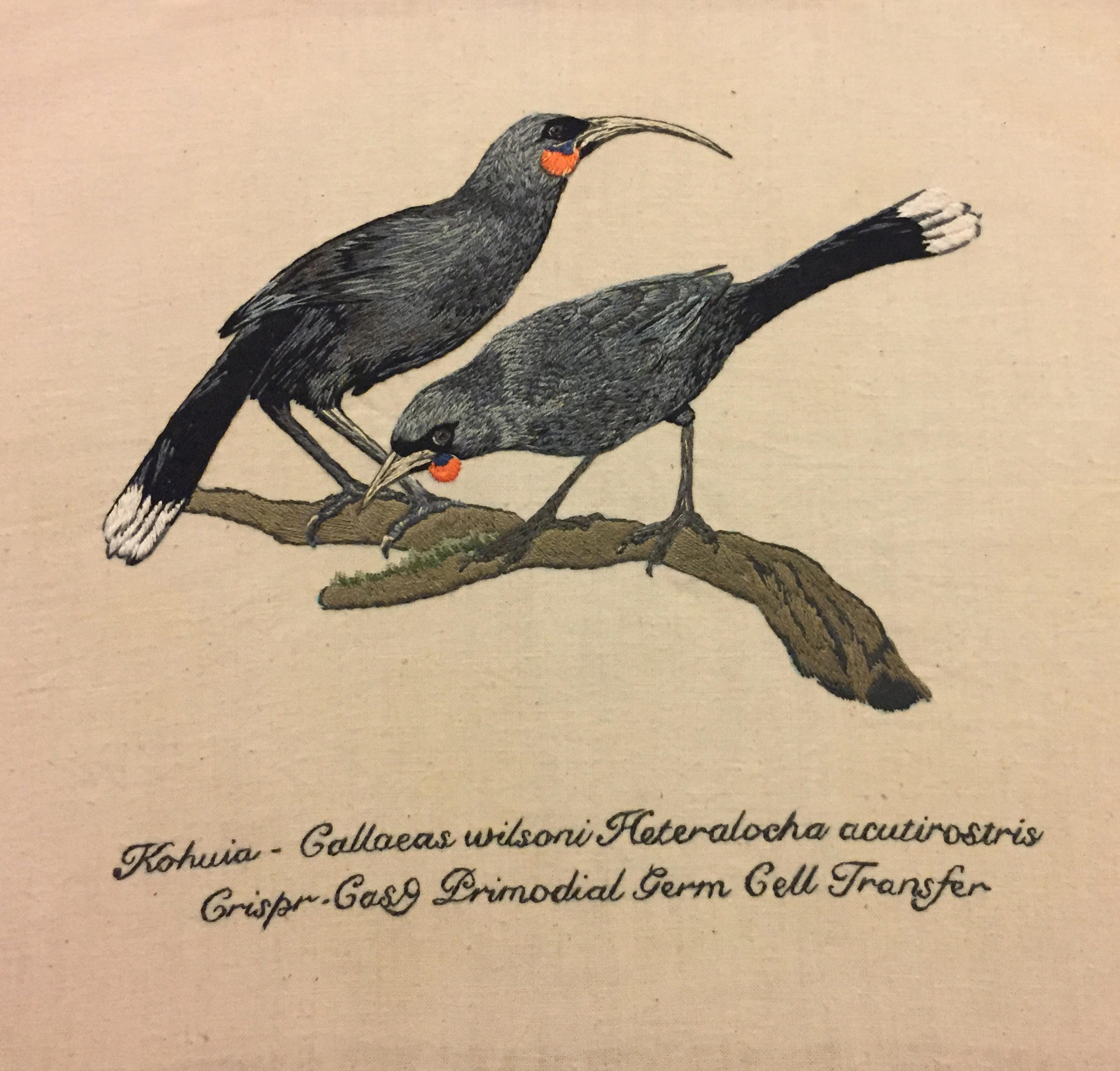 News and blog | Creative New Zealand